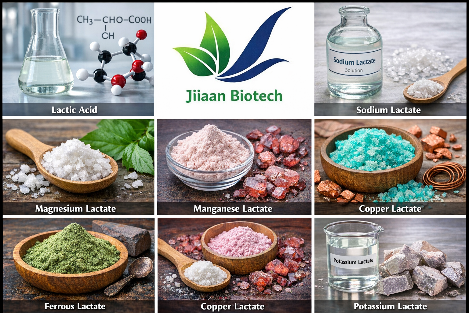 Lactic Acid & its Salts - JIAAN BIOTECH